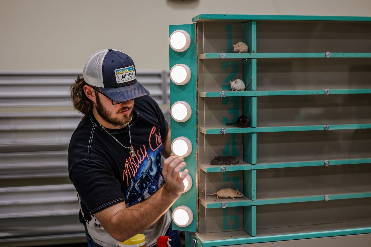 The Races! Betting! Betting Slips! Racing Lineup Sheet! Mouse Roulette ...